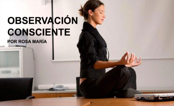 Observación consciente - La NATURALEZA ️nos importa