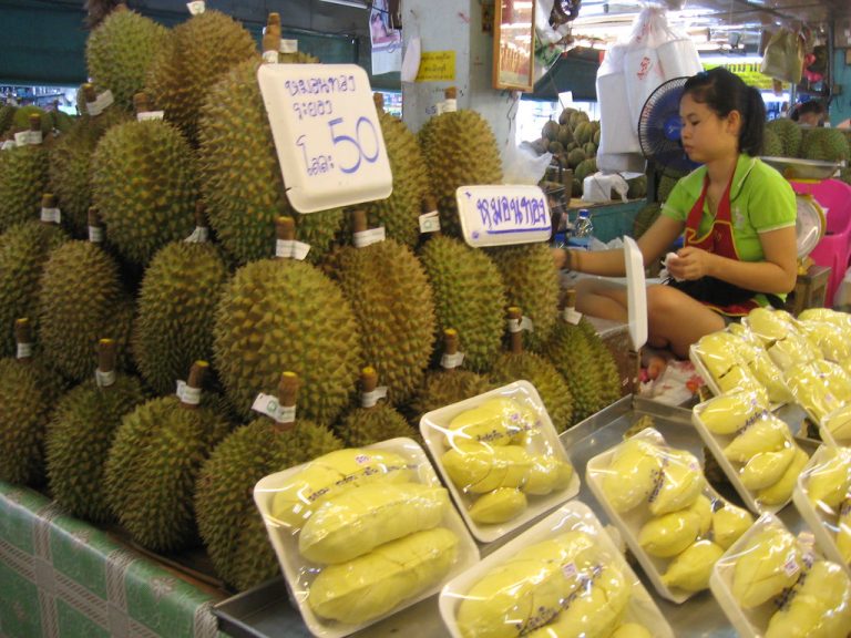 El Durián, la fruta más apestosa del mundo - La NATURALEZA ️nos importa