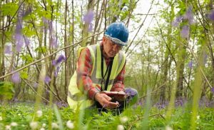 ECOLOGISTA PROFESIONAL - DEBERES, TRABAJOS y ESTUDIOS